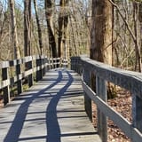 Russell Cave Trail, Alabama - 131 Reviews, Map | AllTrails