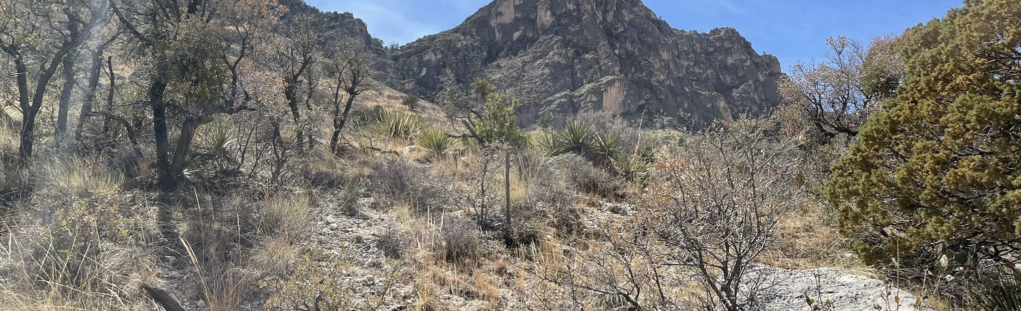 Devil's Hall Trail: 2575 Reviews, Map - Texas | AllTrails