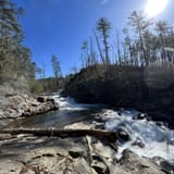 Cohutta Big Frog Mountain Loop, Georgia - 7 Reviews, Map | AllTrails