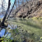 Cohutta Big Frog Mountain Loop, Georgia - 7 Reviews, Map | AllTrails