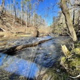 Cohutta Big Frog Mountain Loop, Georgia - 7 Reviews, Map | AllTrails