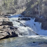 Cohutta Big Frog Mountain Loop, Georgia - 7 Reviews, Map | AllTrails