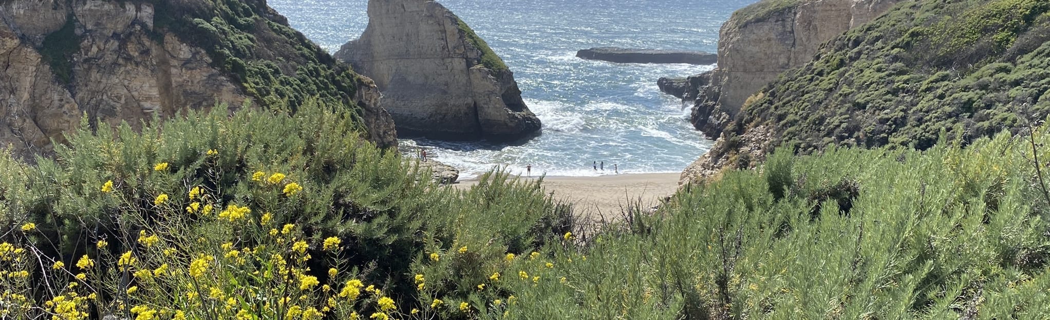 Bonny Doon Beach and Shark Fin Cove Loop - California | AllTrails