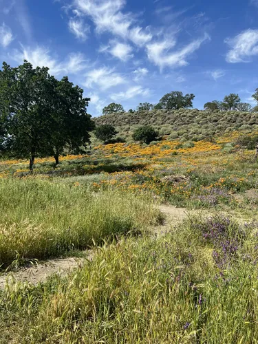 10 Best Hikes and Trails in Shell Ridge Open Space | AllTrails