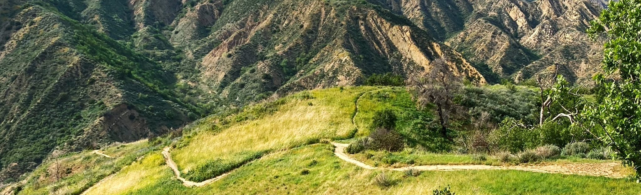 Towsley Canyon Loop Trail: 3458 Reviews, Map - California | AllTrails