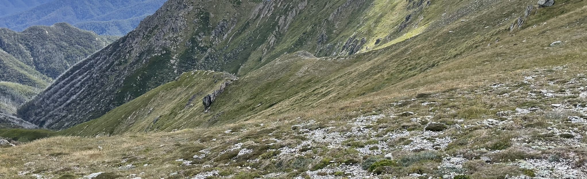 Charlotte Pass Circuit via Mount Twynam and Illawong, New South Wales ...