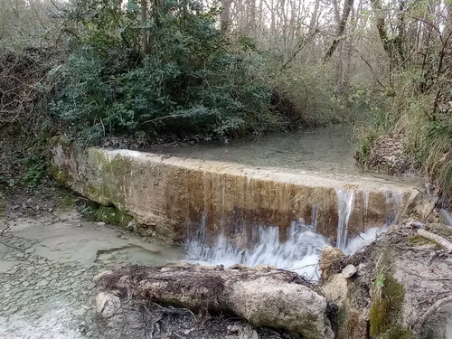 Best Hikes and Trails in Armantiako basoa/Bosque de Armentia | AllTrails