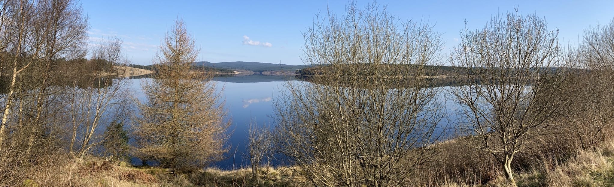 Scout Adventures Hawkhirst and Kielder Bird of Prey Centre: 161 foto's ...