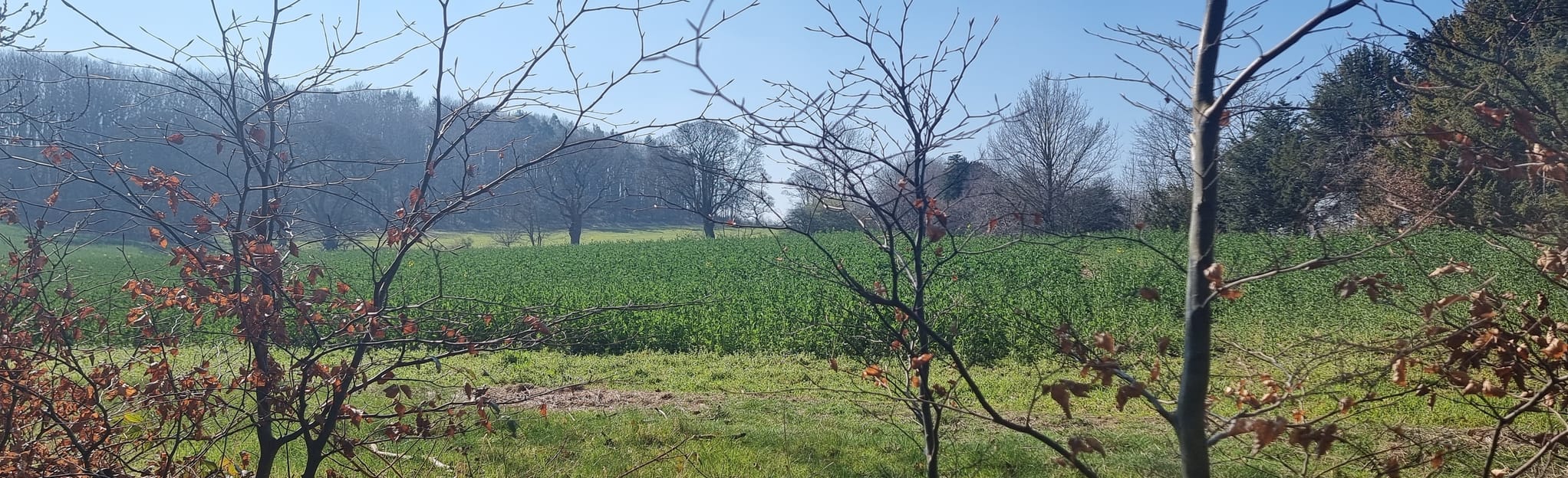 Castle Eden Dene Circular: 117 Reviews, Map - County Durham, England ...