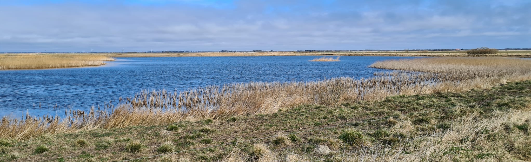 Ribe - Panoramarute 403: 13 Reviews, Map - Region of Southern Denmark ...