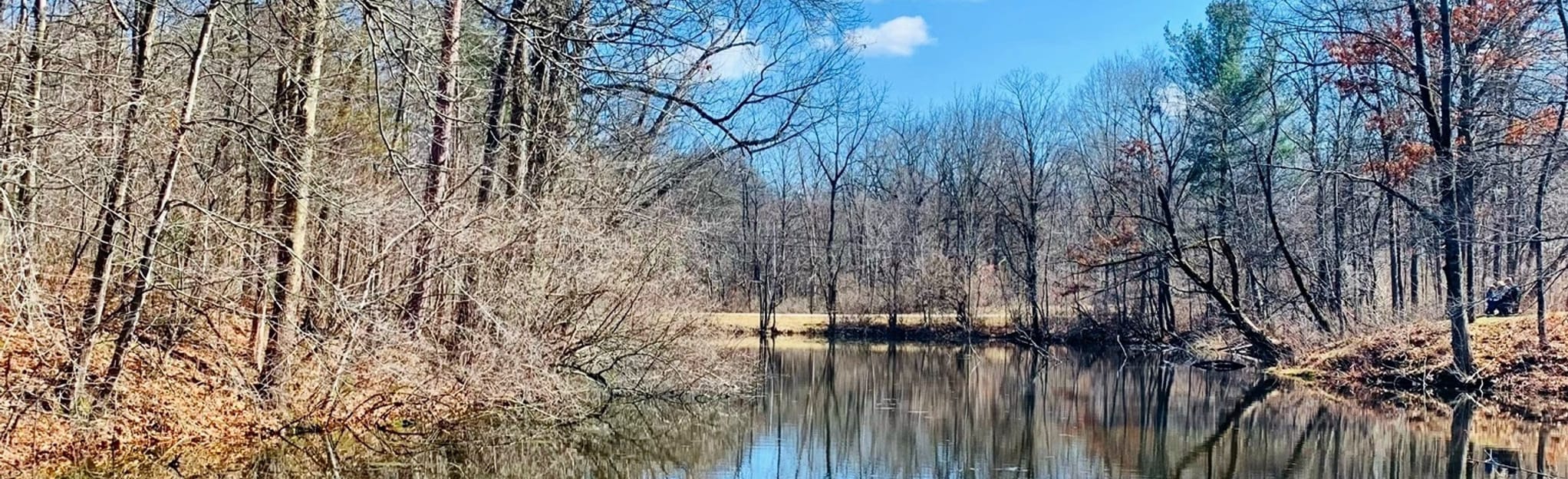 Springbrook Lake Trail, Ohio - 62 Reviews, Map | AllTrails