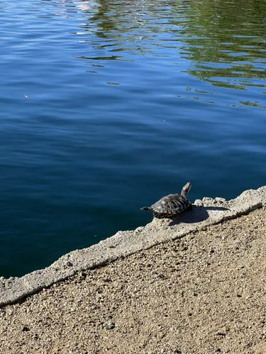 Best Hikes and Trails in Aliante Nature Discovery Park | AllTrails