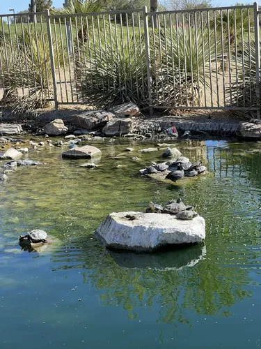 Best Hikes and Trails in Aliante Nature Discovery Park | AllTrails