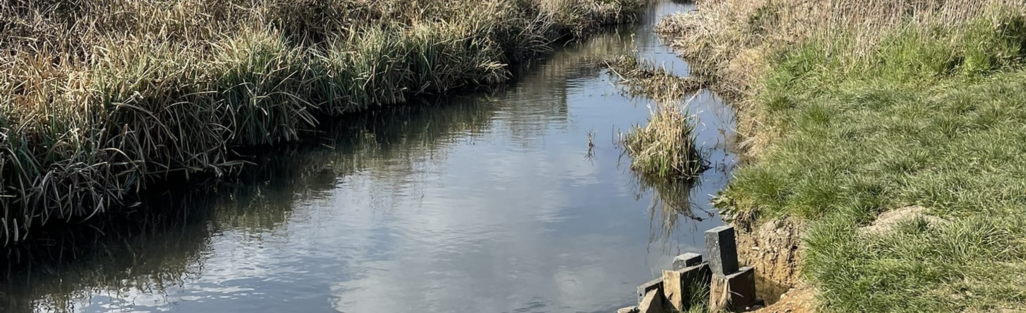 Titchfield and Stubbington Circular, Hampshire, England - 23 Reviews ...