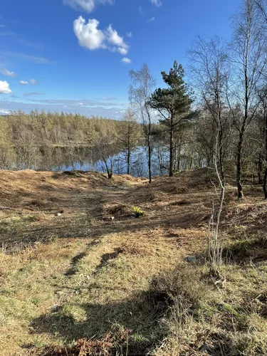 10 Best Walking Trails in Staveley-in-Cartmel | AllTrails