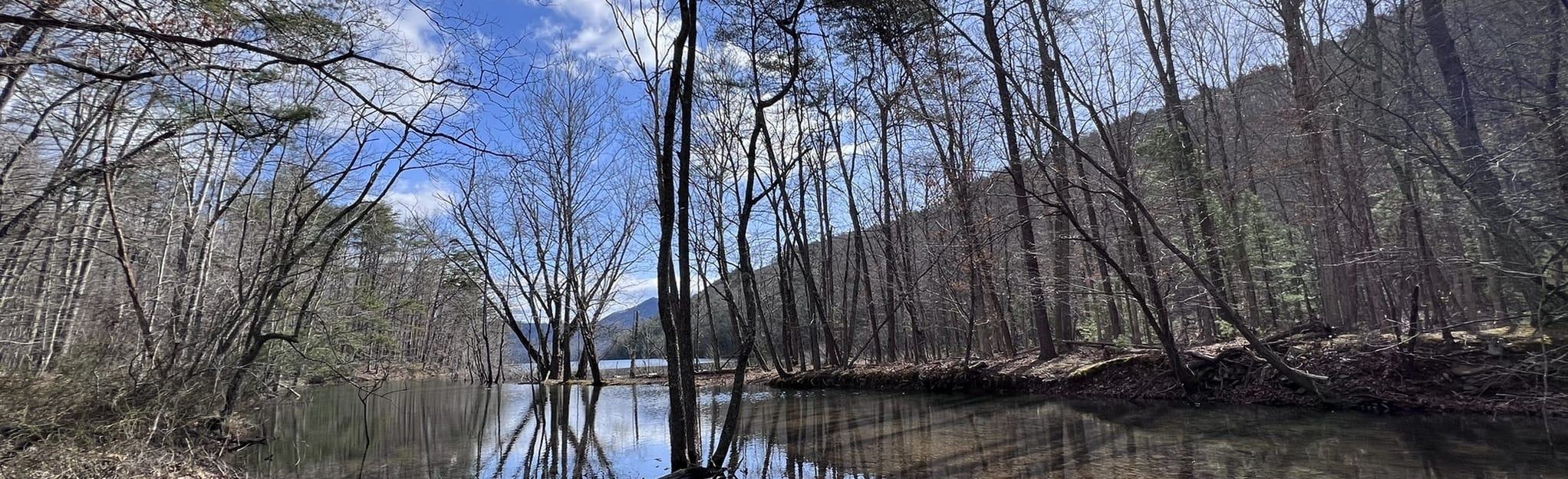 Carvins Cove: Hi-Dee Ho to the Gauntlet and the Horse Pen Loop | Map ...