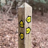 Gomshall Mill and Netley Park Circular, Surrey, England - 181 Reviews ...