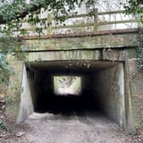 Gomshall Mill and Netley Park Circular, Surrey, England - 219 Reviews ...