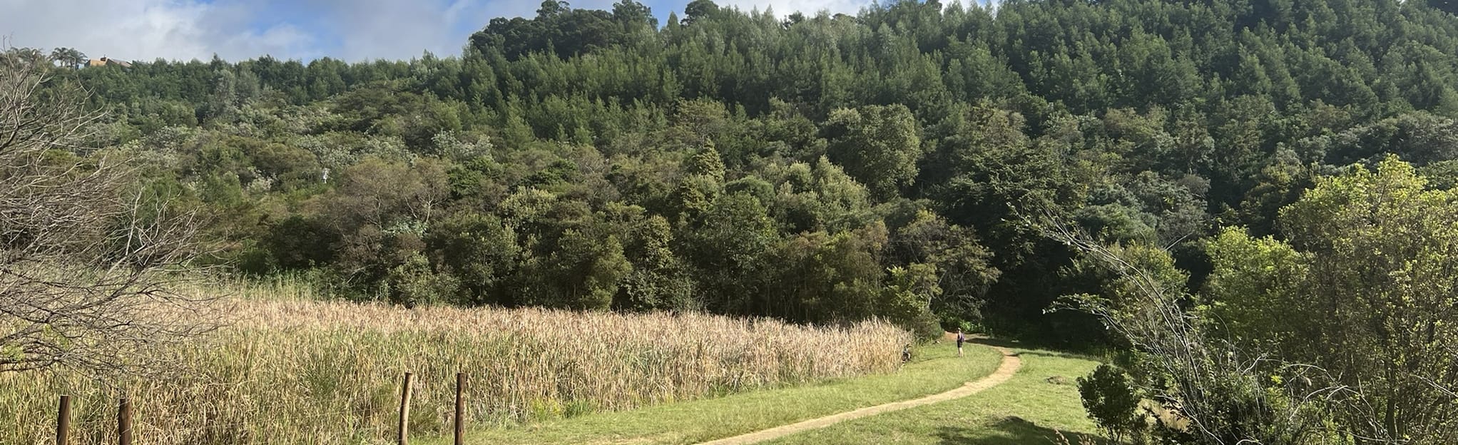 Moreleta Kloof Nature Reserve Trail: 505 Fotos - Gauteng, África do Sul ...