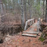 Arcadia Trail Loop, Rhode Island - 276 Reviews, Map | AllTrails