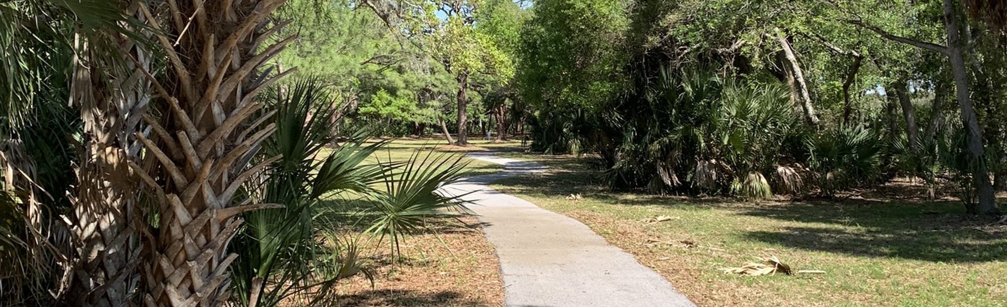 Maximo Park, Florida - 83 Reviews, Map | AllTrails
