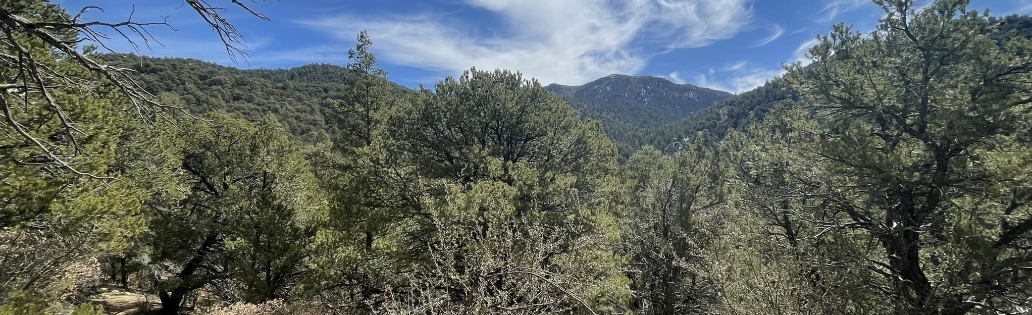 South Sandia Peak via Embudito Trail #192: 350 Reviews, Map - New ...