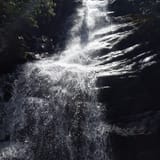 Red Fork Falls Trail, Tennessee - 226 Reviews, Map | AllTrails