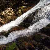 Red Fork Falls Trail, Tennessee - 226 Reviews, Map | AllTrails