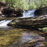 Red Fork Falls Trail, Tennessee - 226 Reviews, Map | AllTrails
