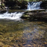 Red Fork Falls Trail, Tennessee - 226 Reviews, Map | AllTrails