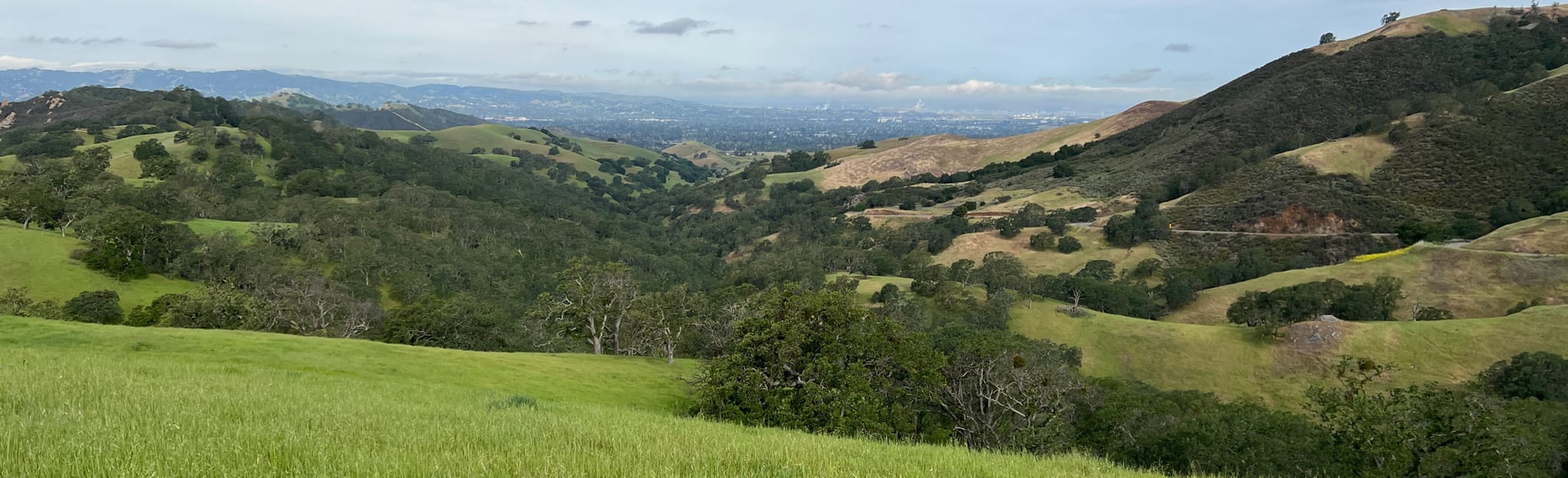 Burma, Falcon, and Little Pine Creek Road Loop: 44 Reviews, Map ...