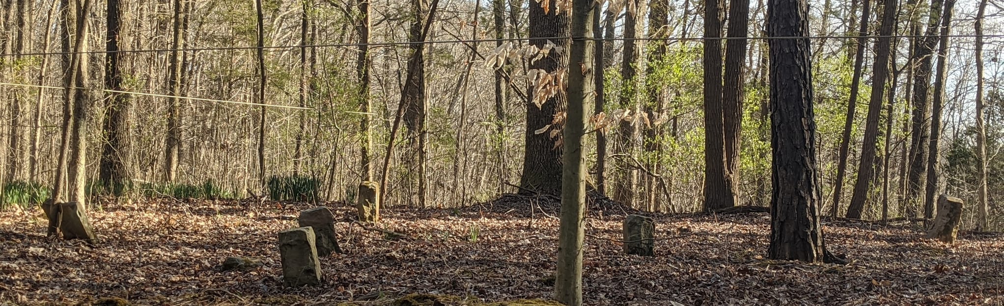 Old River to River Trail Segment, Illinois - Map, Guide | AllTrails