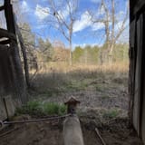 Goat Bluff Trail, Arkansas - 113 Reviews, Map | AllTrails