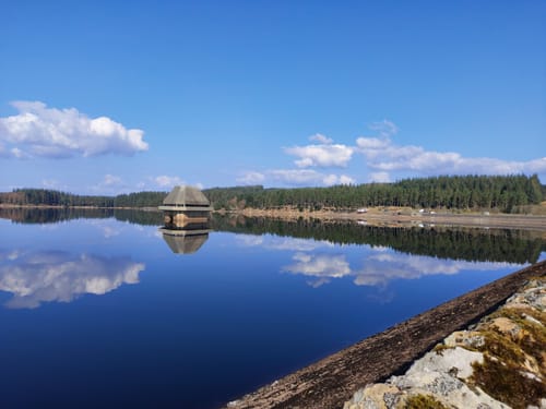 2023 Best 10 Walking Trails in Kielder Forest | AllTrails