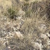 Tejas Trail and McKittrick Ridge, Texas - 34 Reviews, Map | AllTrails