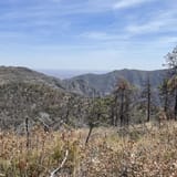 Tejas Trail and McKittrick Ridge, Texas - 34 Reviews, Map | AllTrails