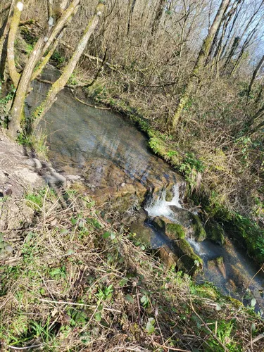 Best Hikes and Trails in Parc Slip Nature Reserve | AllTrails