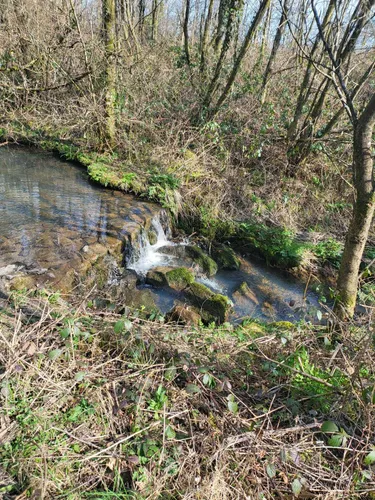 Best Hikes and Trails in Parc Slip Nature Reserve | AllTrails