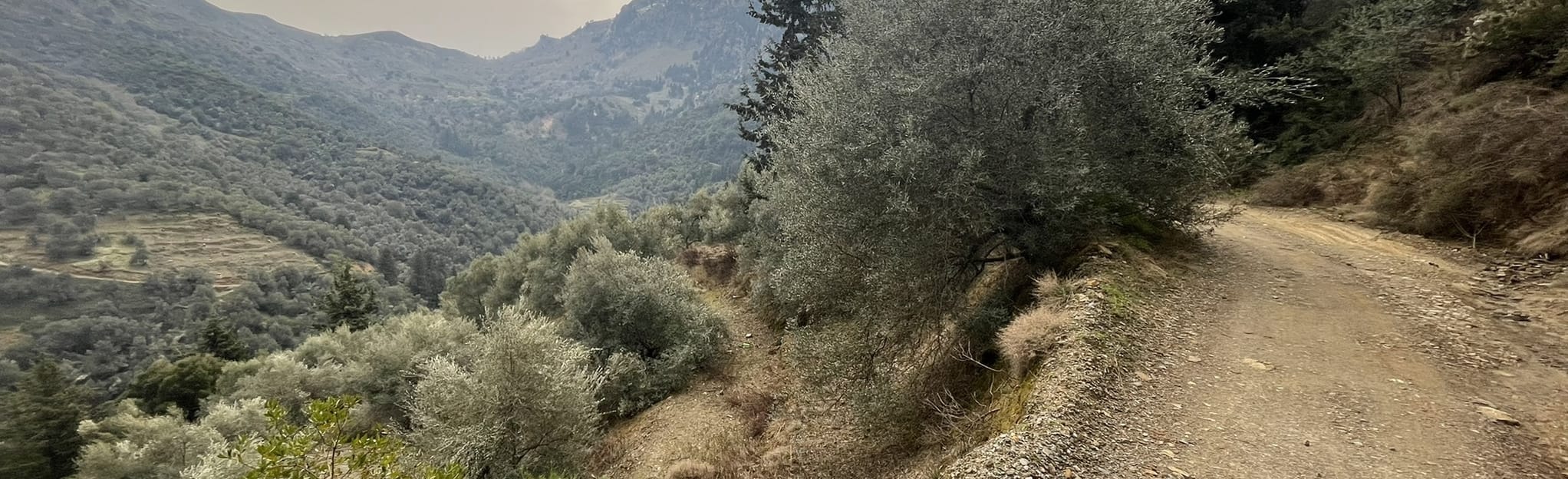Sarakina Gorge of Meskla: 52 Reviews, Map - Crete, Greece | AllTrails