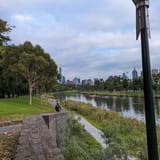 The Tan Track, Victoria, Australia - 585 Reviews, Map | AllTrails
