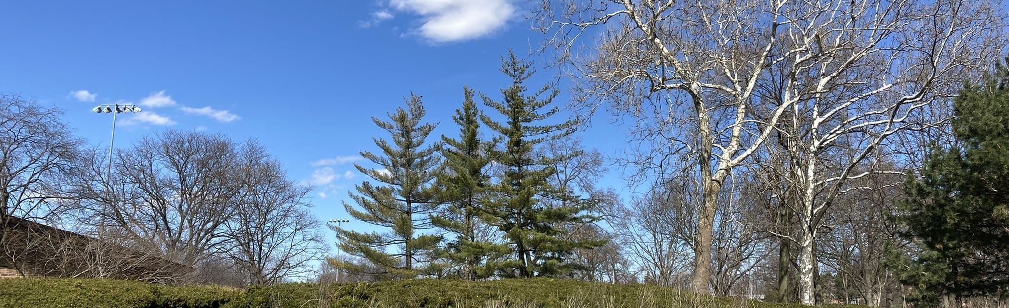 Proksa Park Walk: 15 Reviews, Map - Illinois | AllTrails