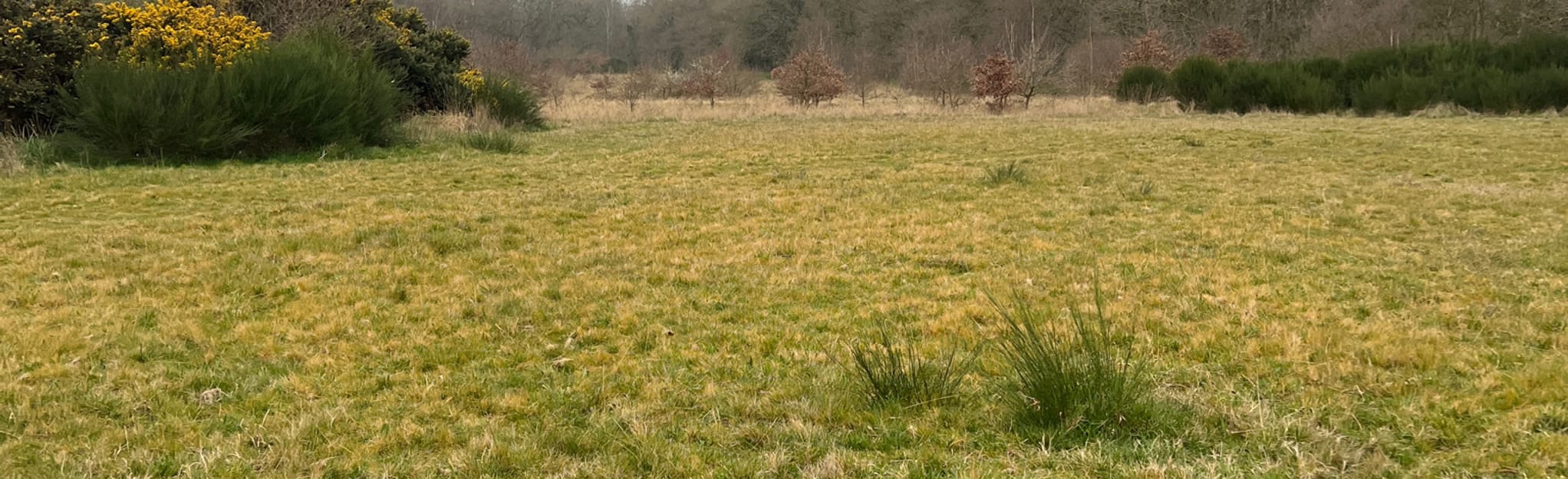 Middlewick Ranges Circular - Essex, England | AllTrails