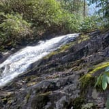 Red Fork Falls Trail, Tennessee - 226 Reviews, Map | AllTrails