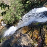 Red Fork Falls Trail, Tennessee - 226 Reviews, Map | AllTrails
