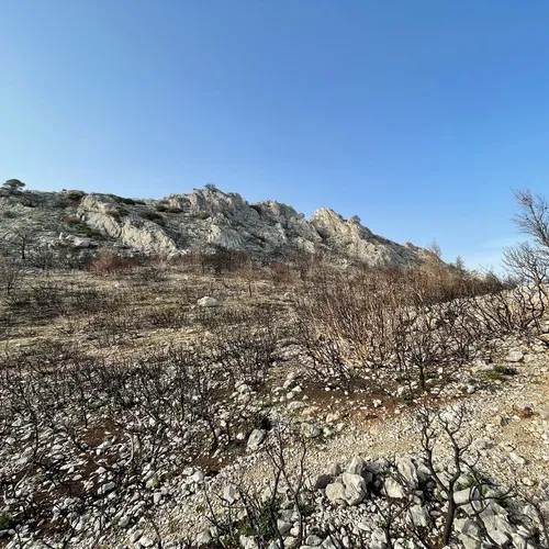 Best Short Trails in Mount Parnitha National Park | AllTrails