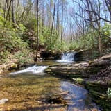 Red Fork Falls Trail, Tennessee - 226 Reviews, Map | AllTrails