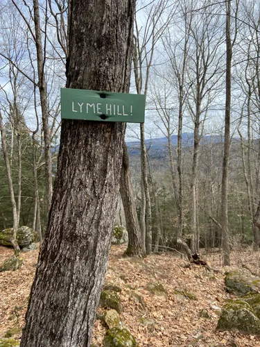 Best Hikes and Trails in Lyme Hill Conservation Area | AllTrails