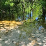 Richloam Wildlife Management Area, Florida - 61 Reviews, Map | AllTrails