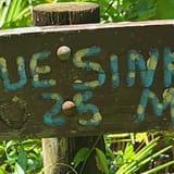 Richloam Wildlife Management Area, Florida - 61 Reviews, Map | AllTrails