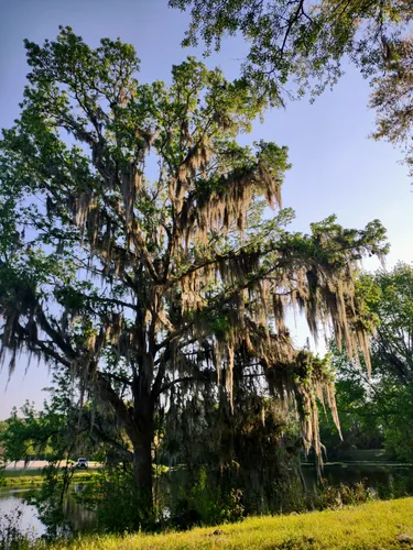Best Hikes and Trails in Lake Mayer Park | AllTrails